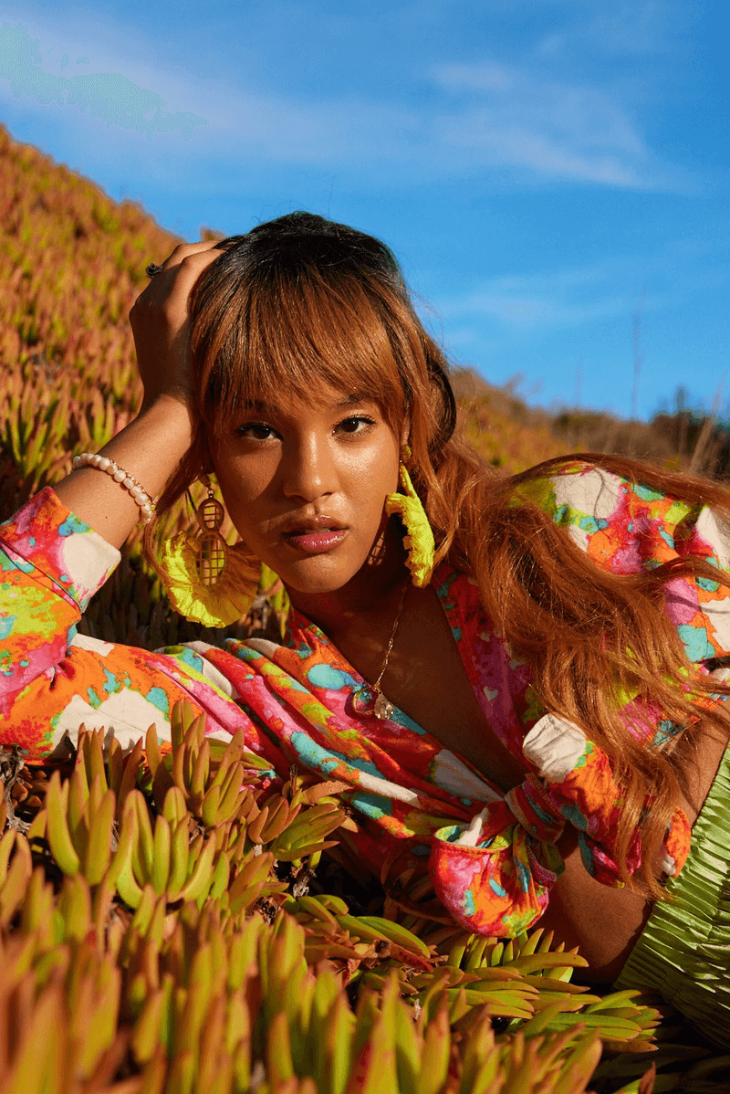 Influur - Global Influencer Marketing Platform