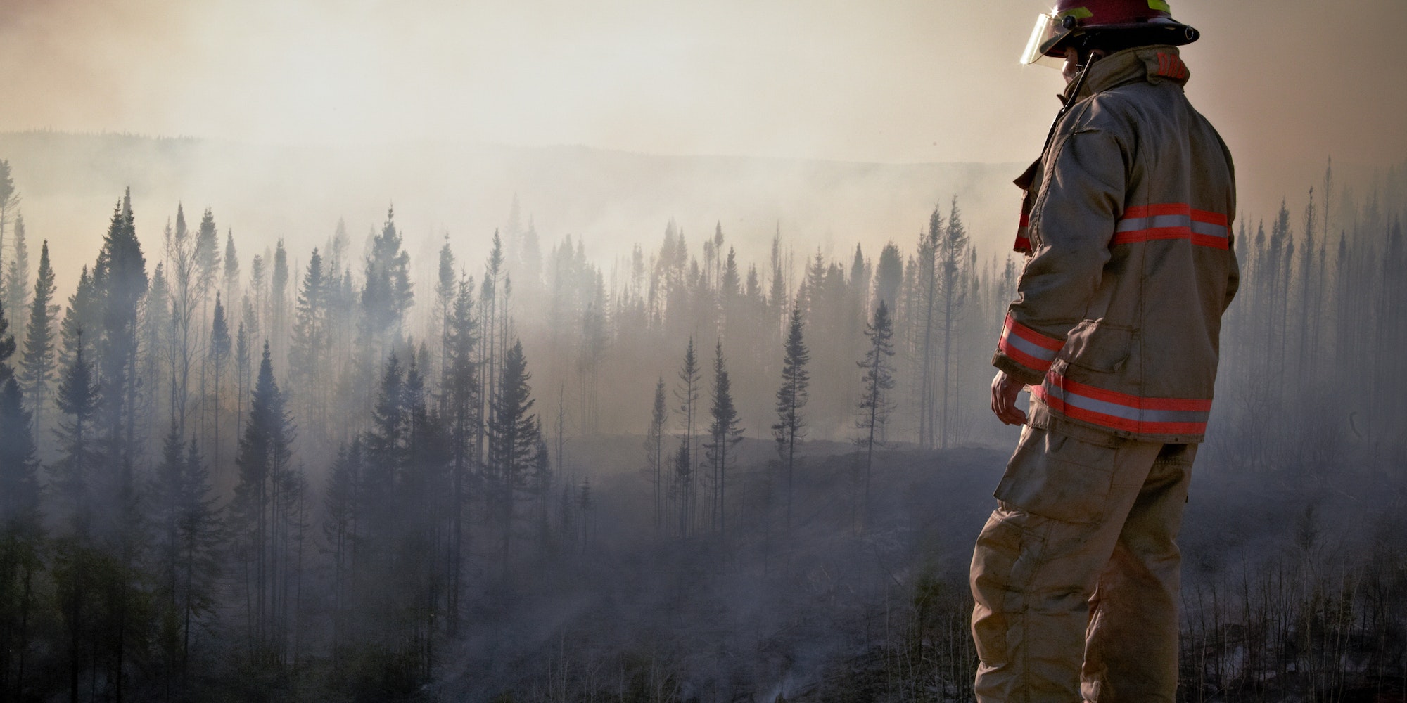 Global Issues: Disaster Risk Reduction and Climate Change Adaptation