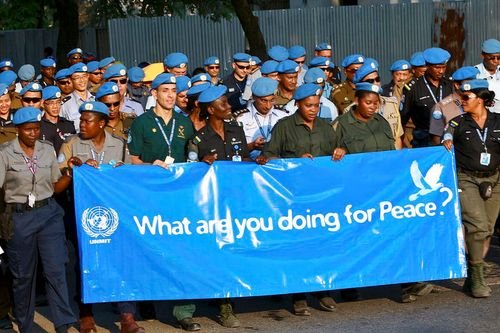 Global Issues: The Role of International Organisations in Peace and ...