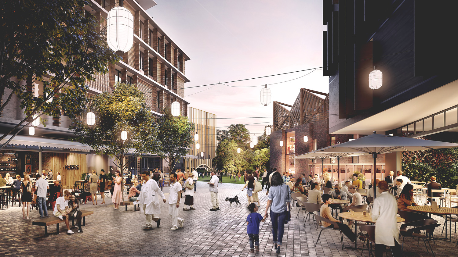 CHROFI | Project | Frenchs Forest Masterplan