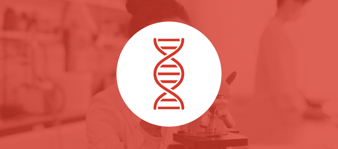 A Company is Building an AI That Can Recognize Your Face Using Only ...