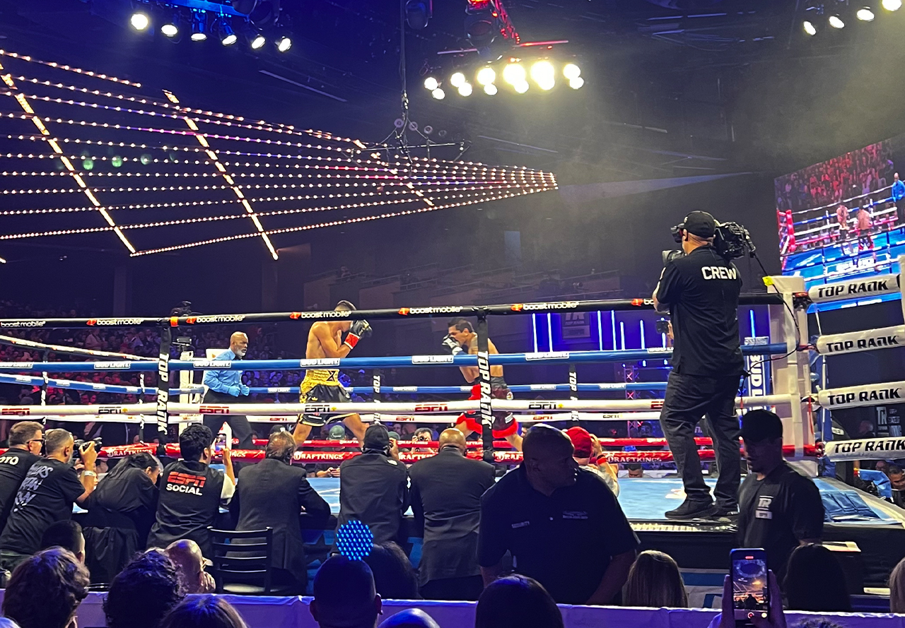 Fight Night at Madison Square Garden (2 minute read)