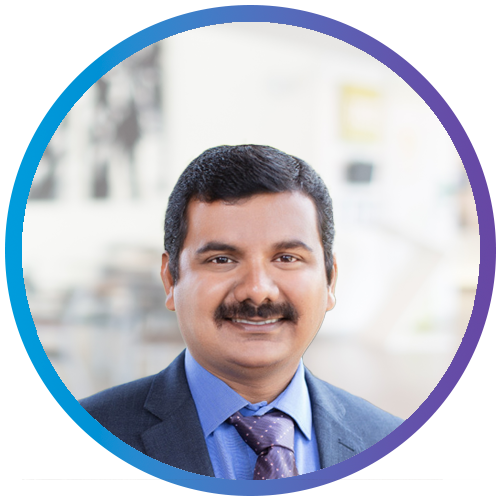 Varatharajan Rajagopal (Raj) - Senior Solution Architect / Senior ...