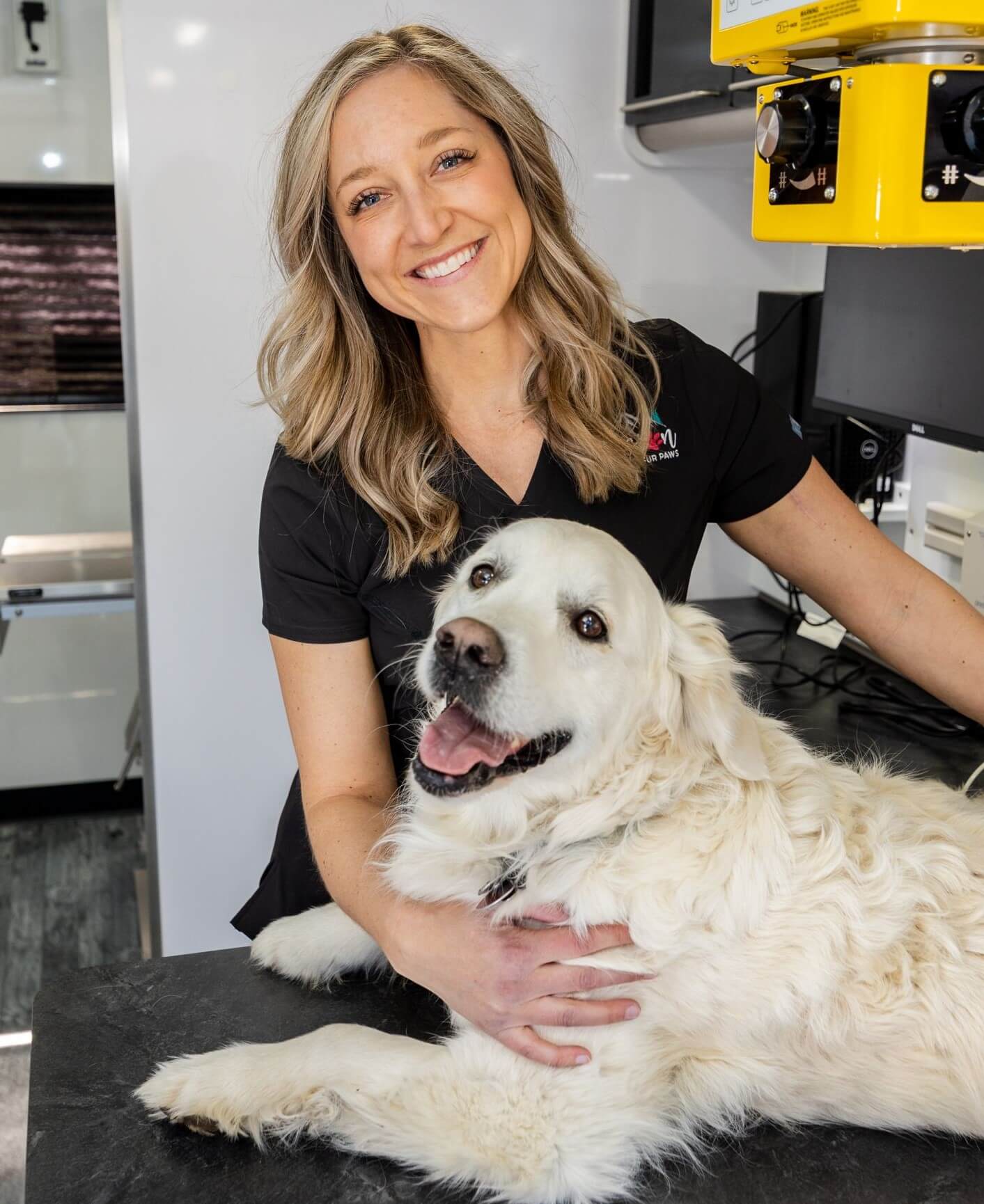 High-Quality Vet Hospital in Colorado | Passion Fur Paws