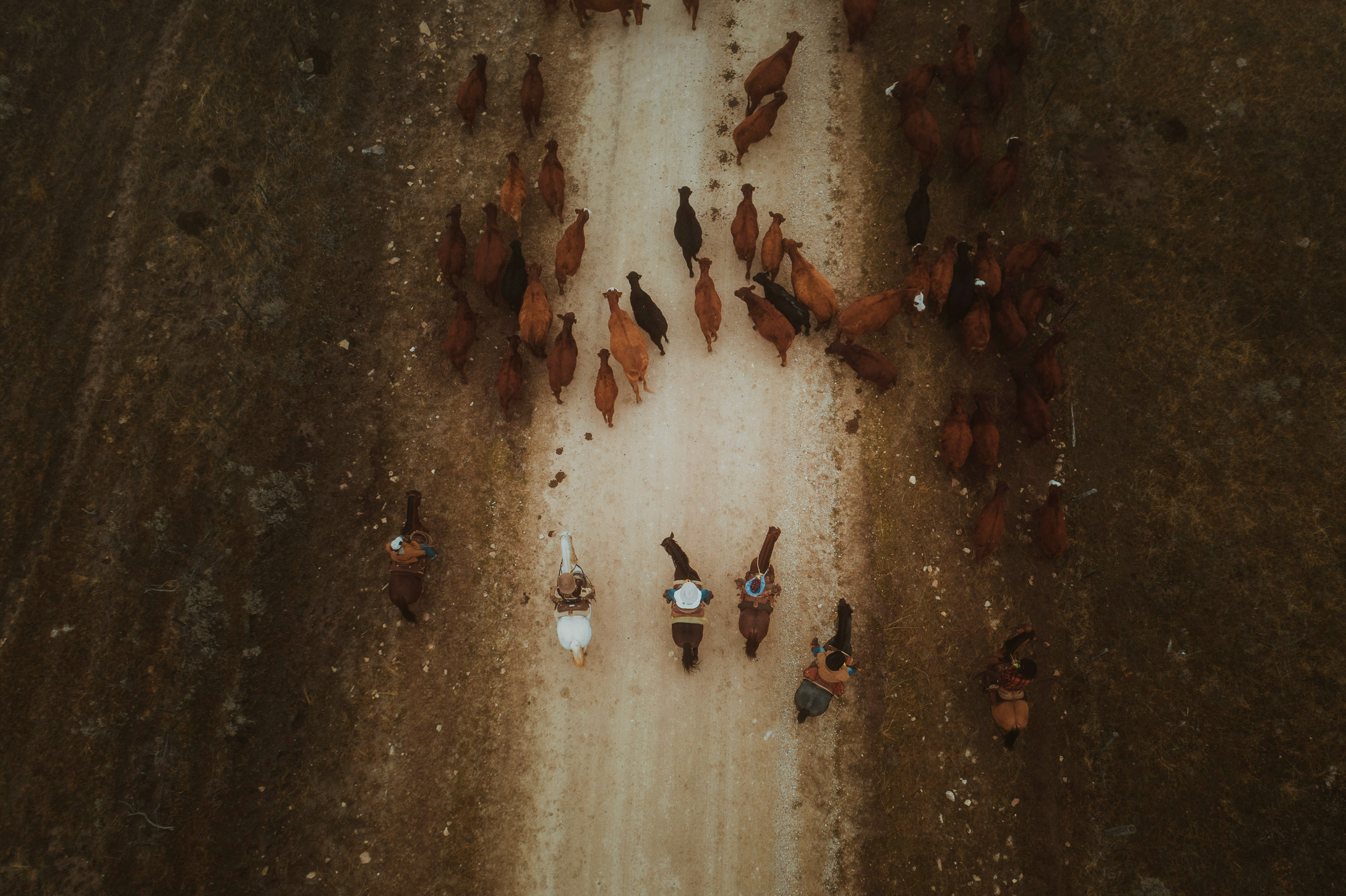Lazy T Ranch | Ten Sleep, Wyoming