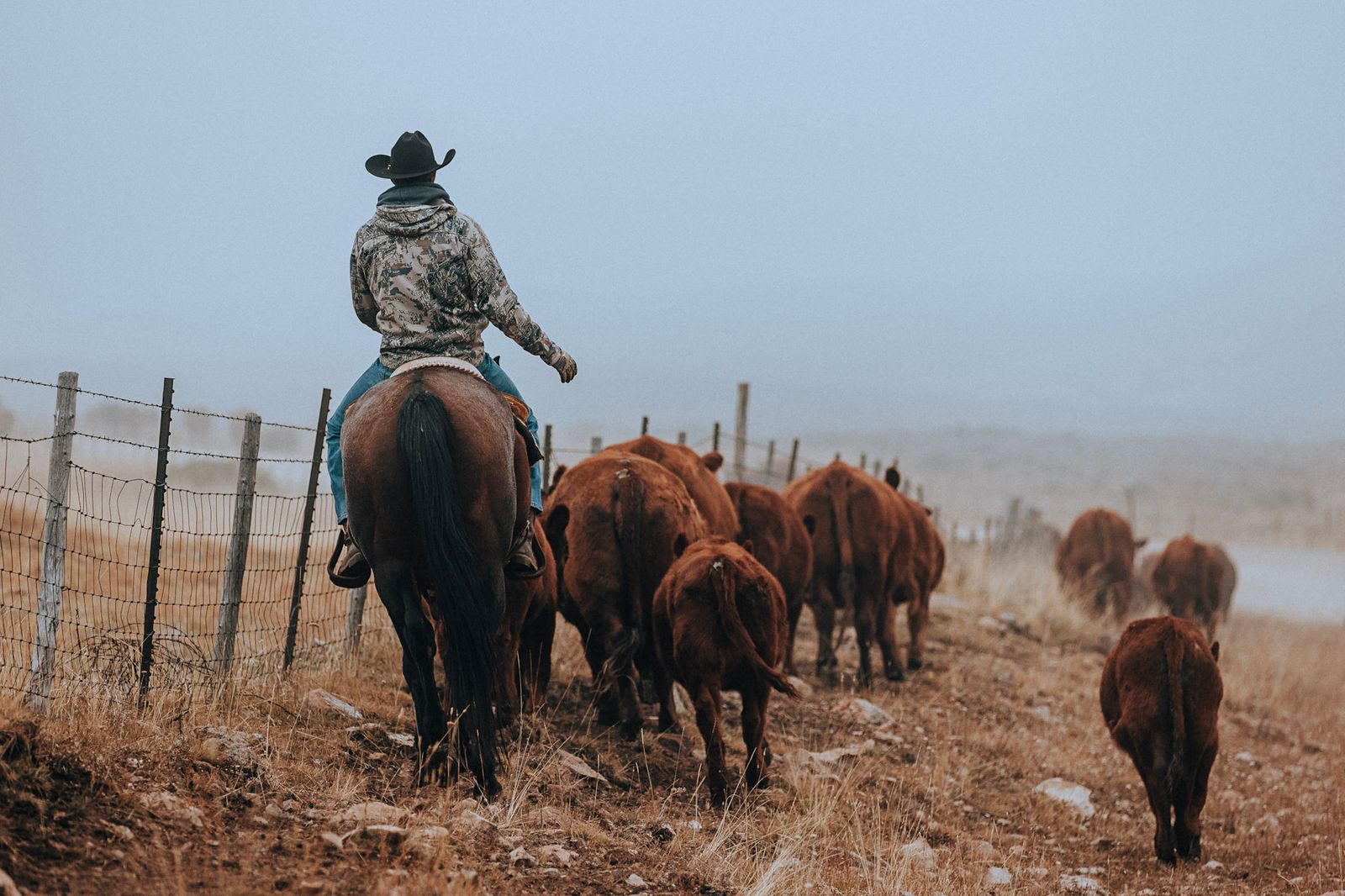 Lazy T Ranch | Ten Sleep, Wyoming