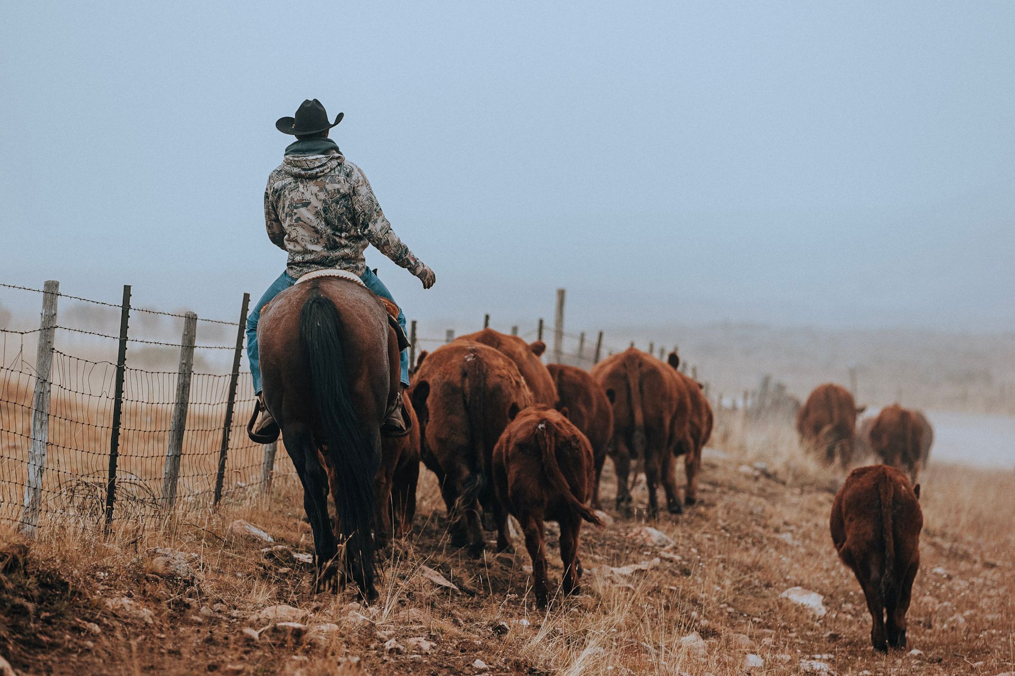 Lazy T Ranch | Ten Sleep, Wyoming