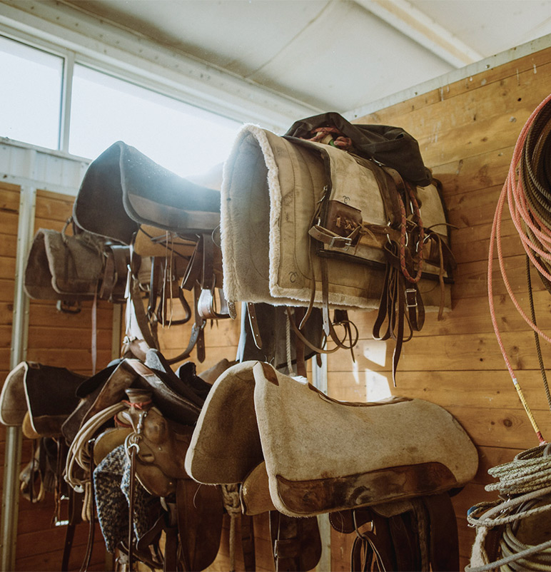 Lazy T Ranch | Ten Sleep, Wyoming