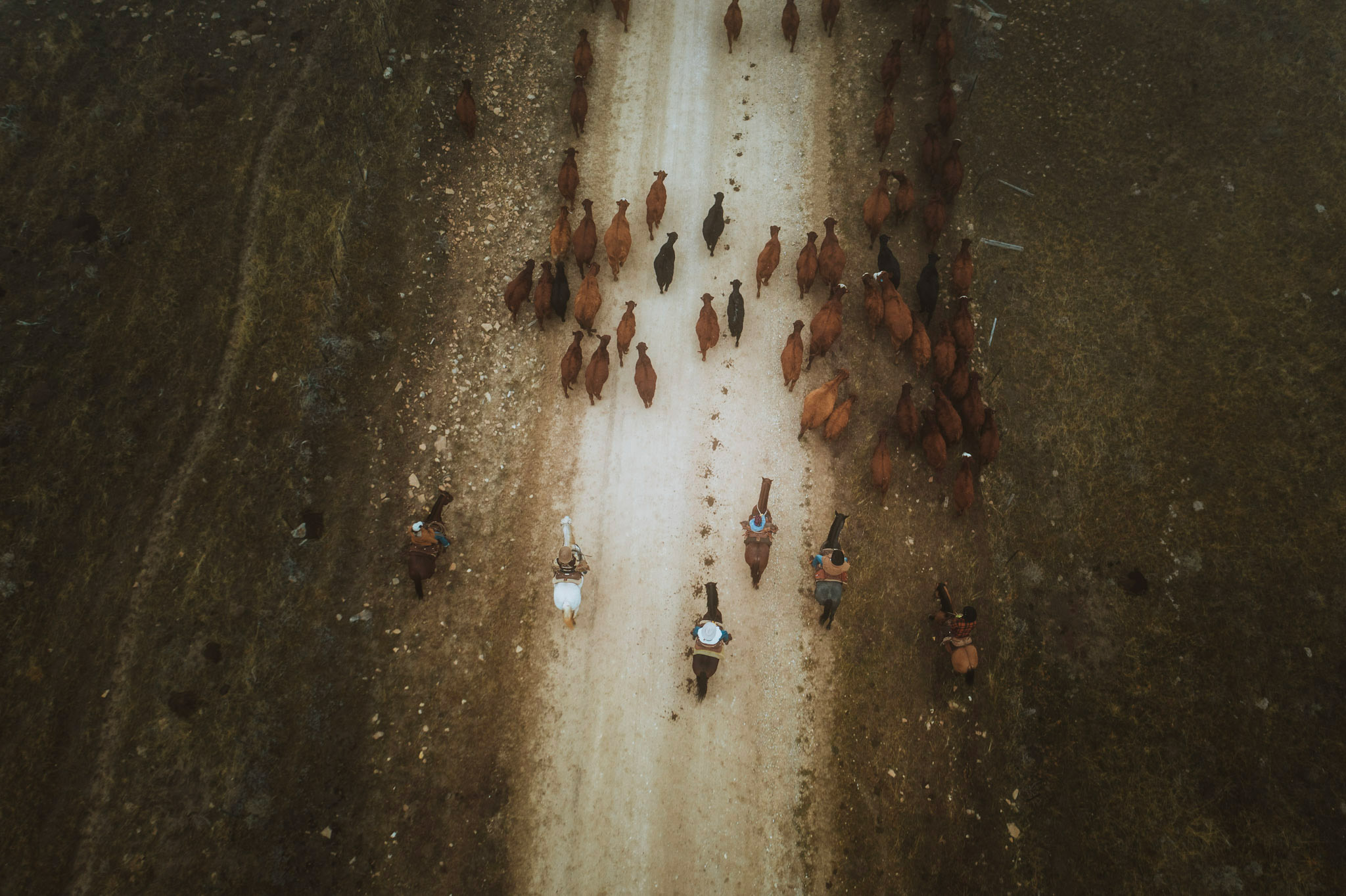 Lazy T Ranch | Ten Sleep, Wyoming