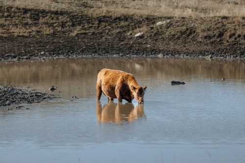 Lazy T Ranch | Ten Sleep, Wyoming