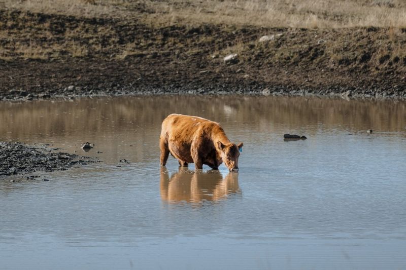 Lazy T Ranch | Ten Sleep, Wyoming