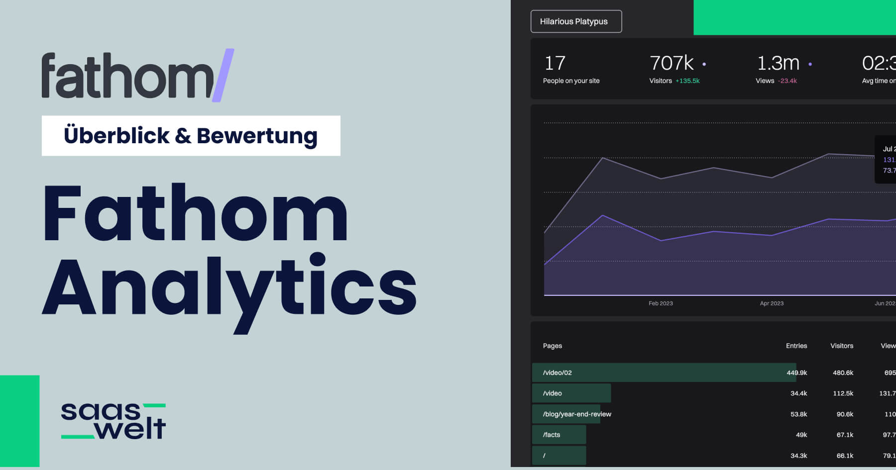Fathom Analytics Bewertung & Erfahrung (2024) | SaaS-Welt.de
