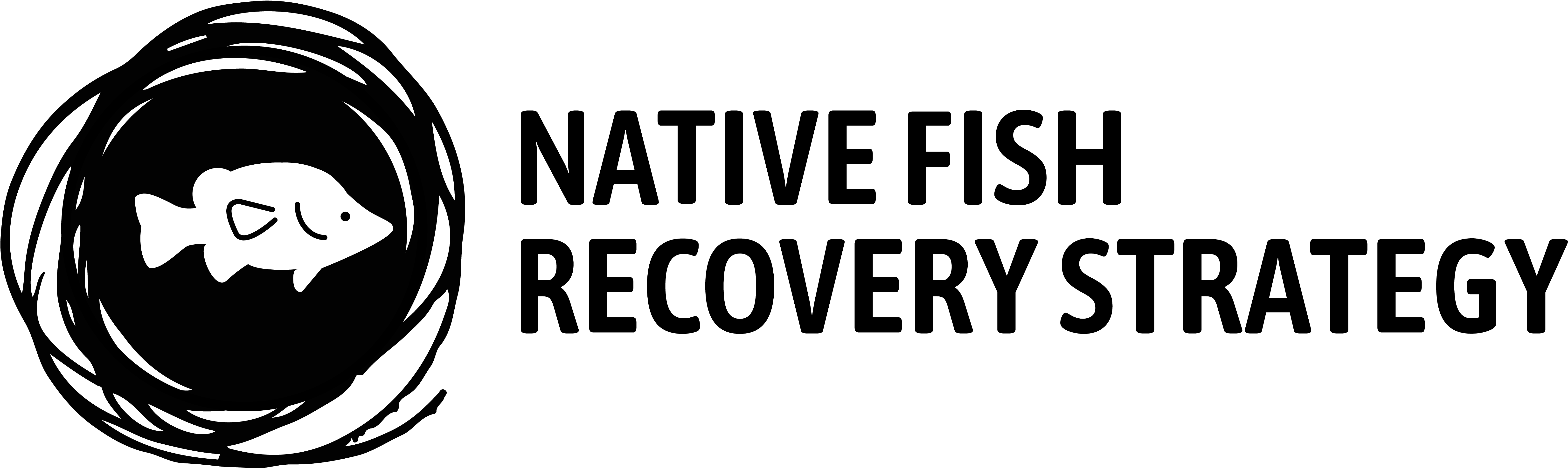 Pouched lamprey - Geotria australis