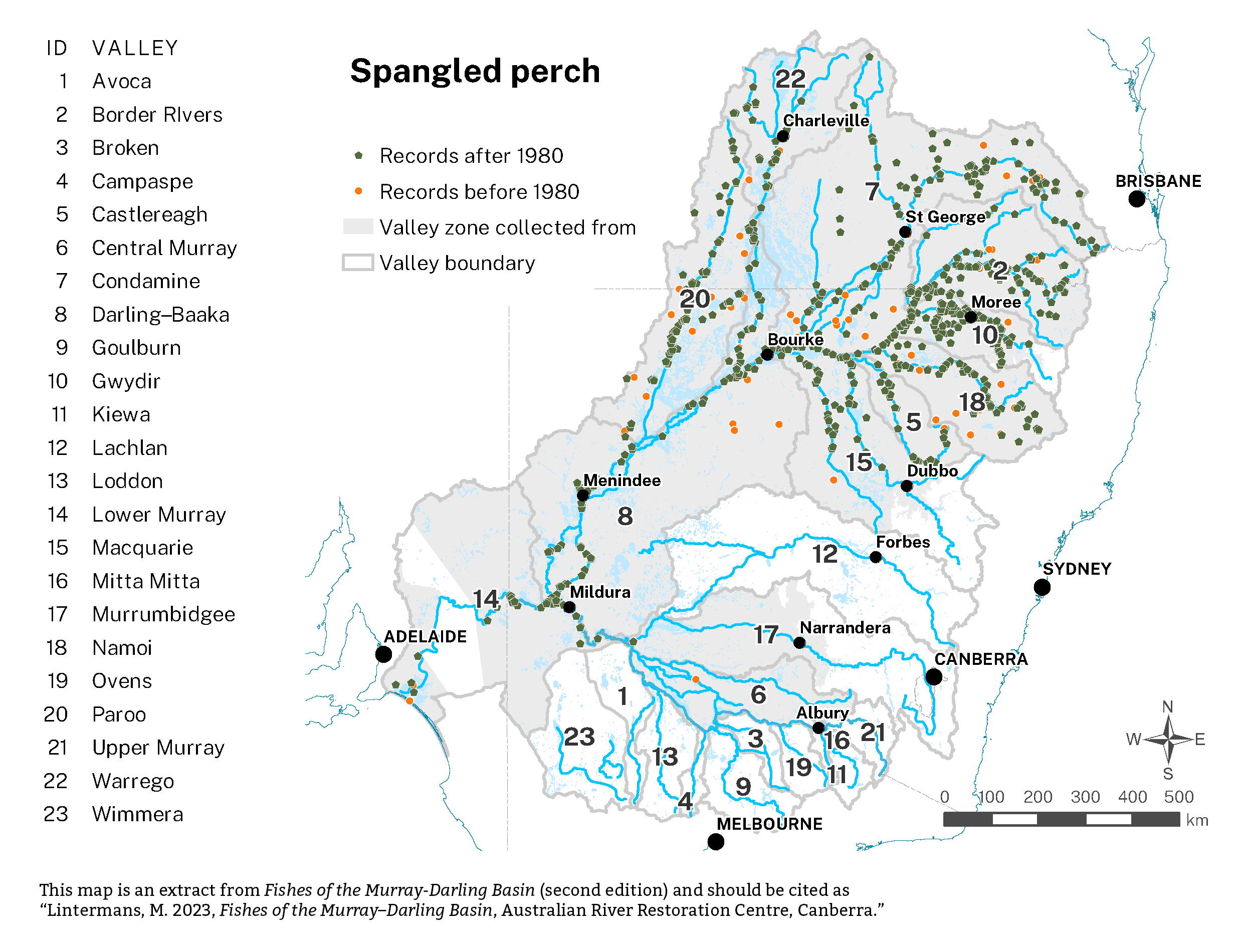 Spangled perch - Leiopotherapon unicolor