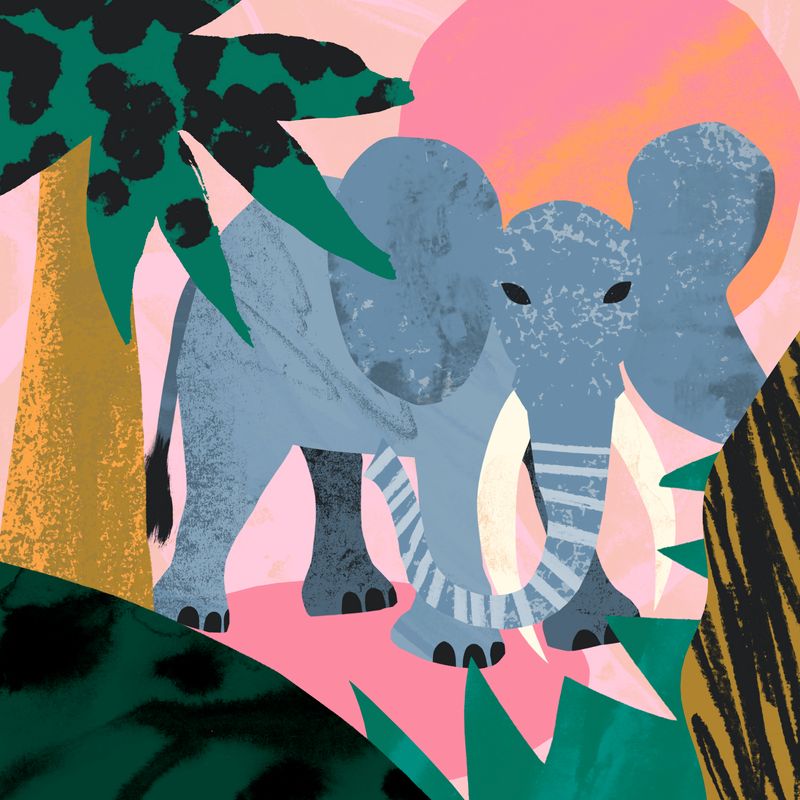 Work available to license by Tom Abbiss Smith