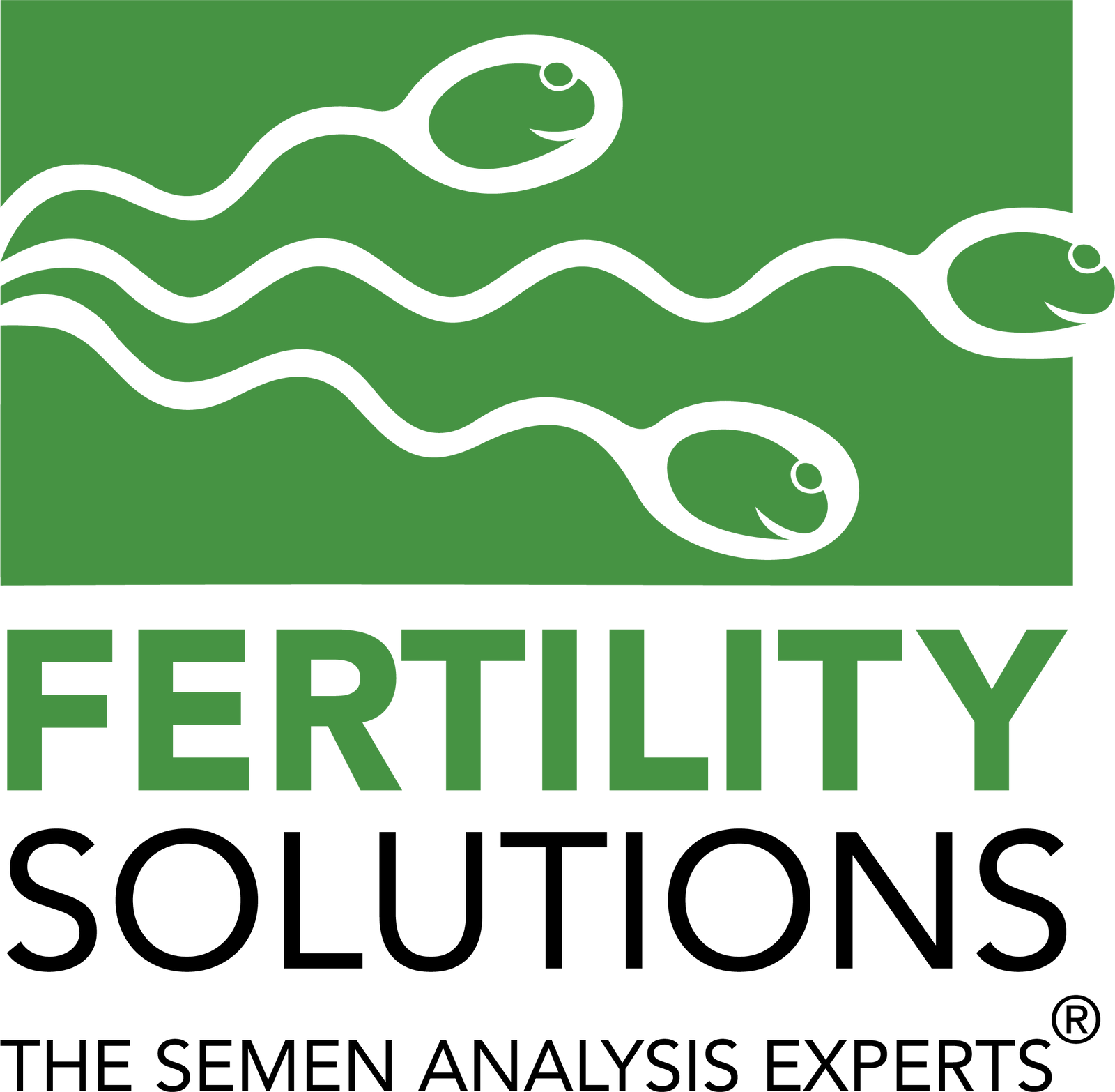 Fertility Solutions Incorporated