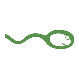 Article|Round Cells in Semen