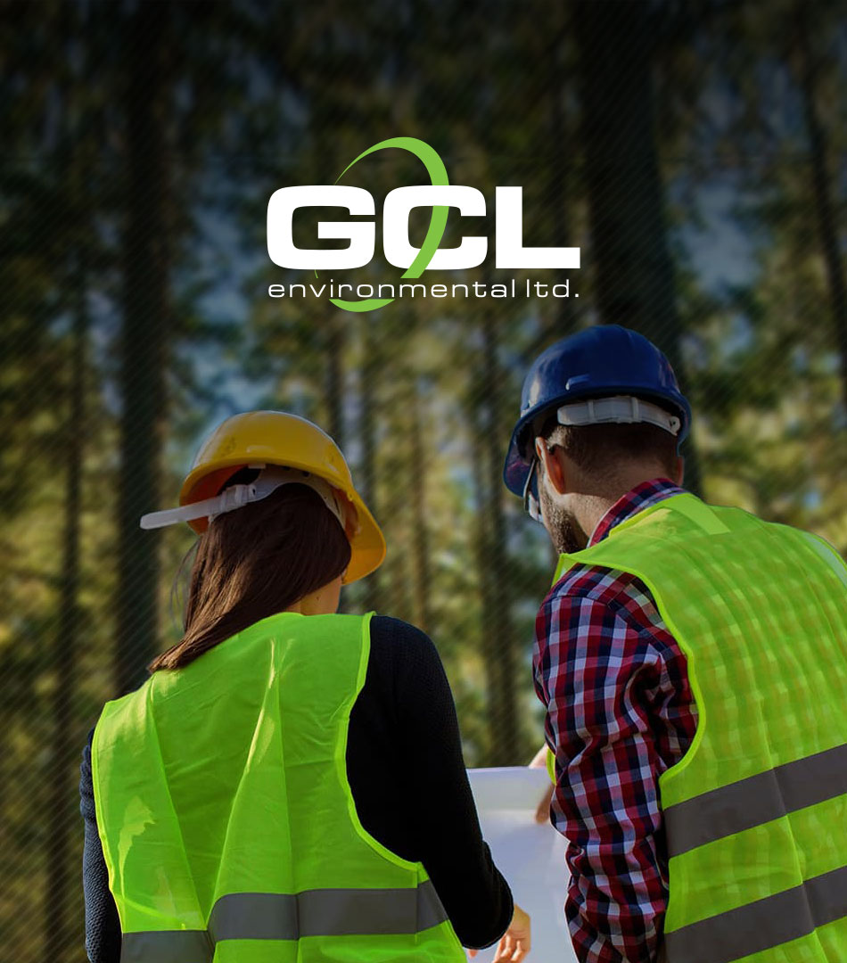 Mash Strategy | Leading Full-Services Brand Management and Marketing