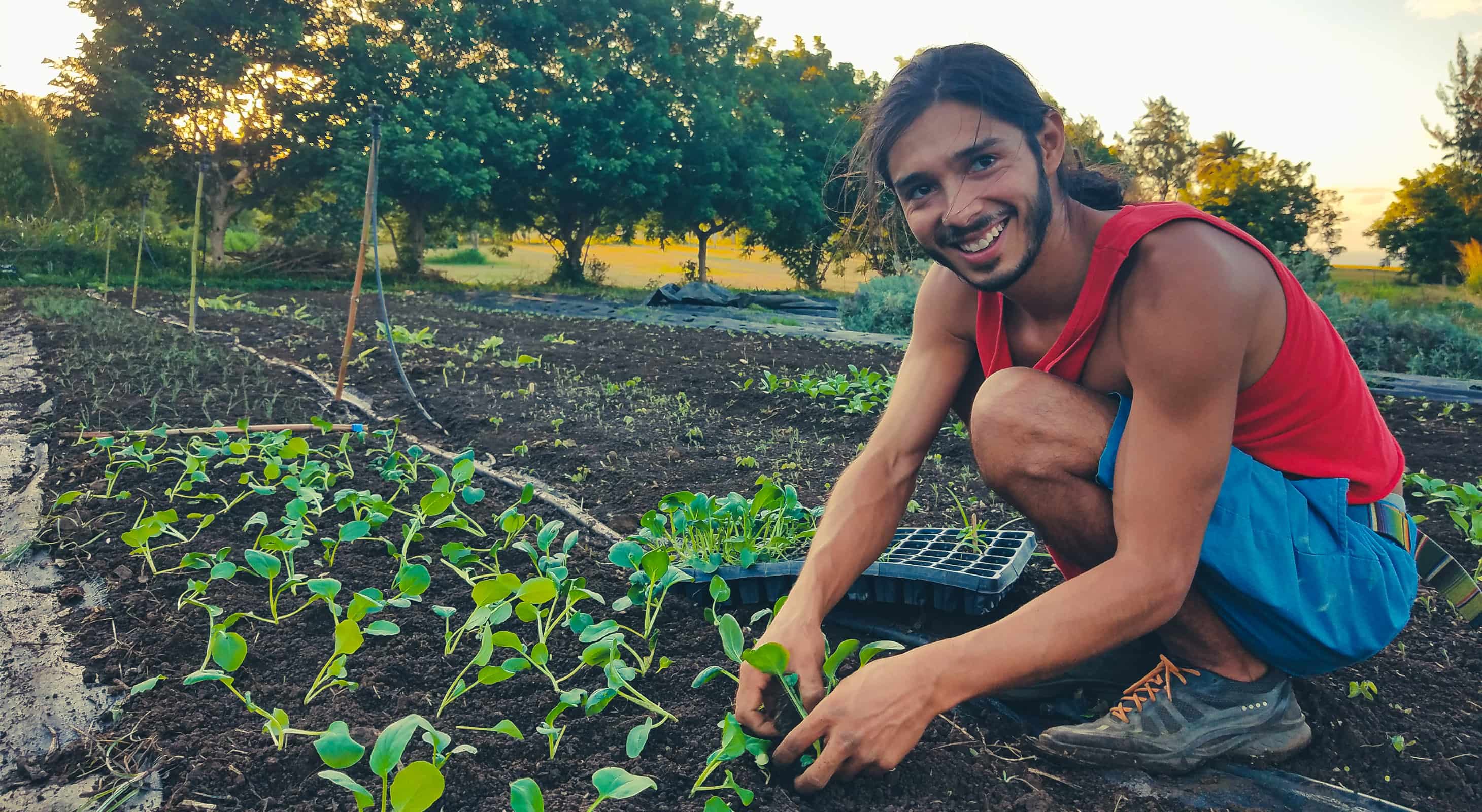 Experience hands-on farm education at HIP Agriculture