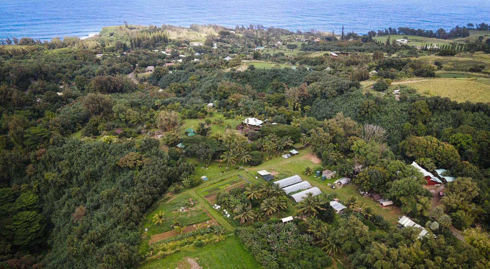HIP Agriculture | Regenerative Farming & Education in Hawaii