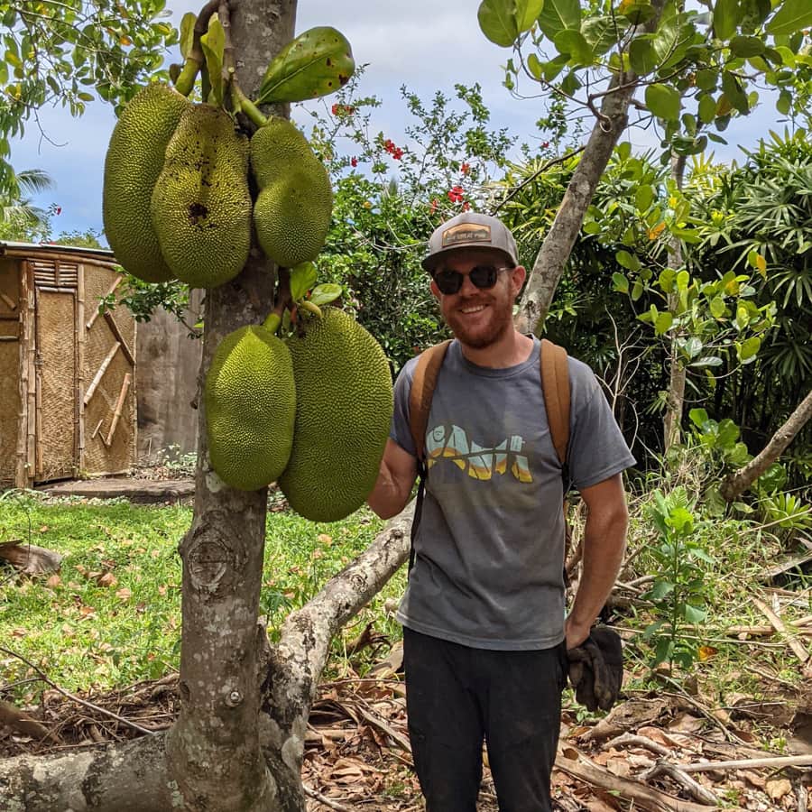HIP Agriculture | Regenerative Farming & Education in Hawaii