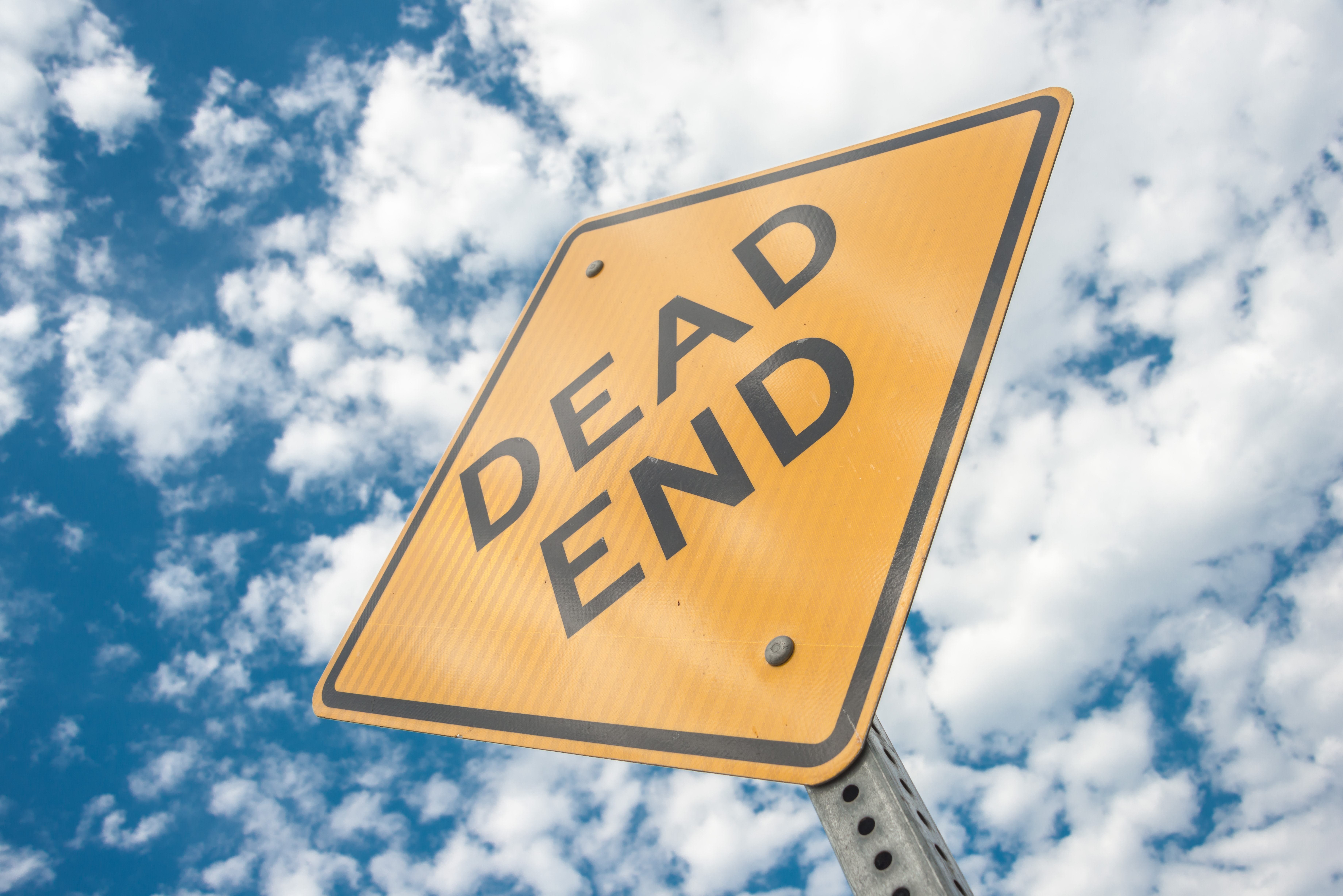 How can wind companies avoid data 'dead ends'? - Tamarindo
