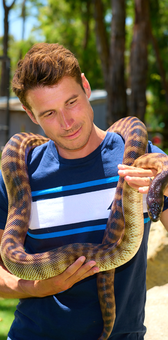 Animal Farm at the Wildlife Park | Gumbuya World