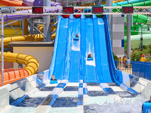 Red Belly Racer at the Oasis Springs | Gumbuya World