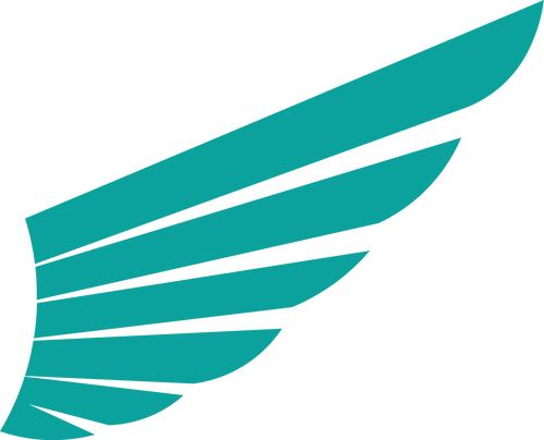 Narellan Netball Club - Mission Vision And Values