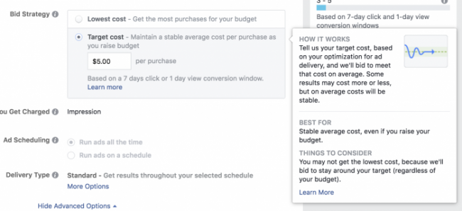 The Complete Guide to Facebook Ad Bidding Strategy