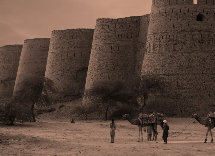 Remittance Card Pakistan Online: An Easy Solution for UAE Expats | Pyypl