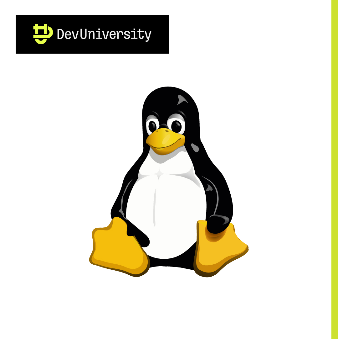 Linux : Tout savoir sur l’OS concurrent de Windows