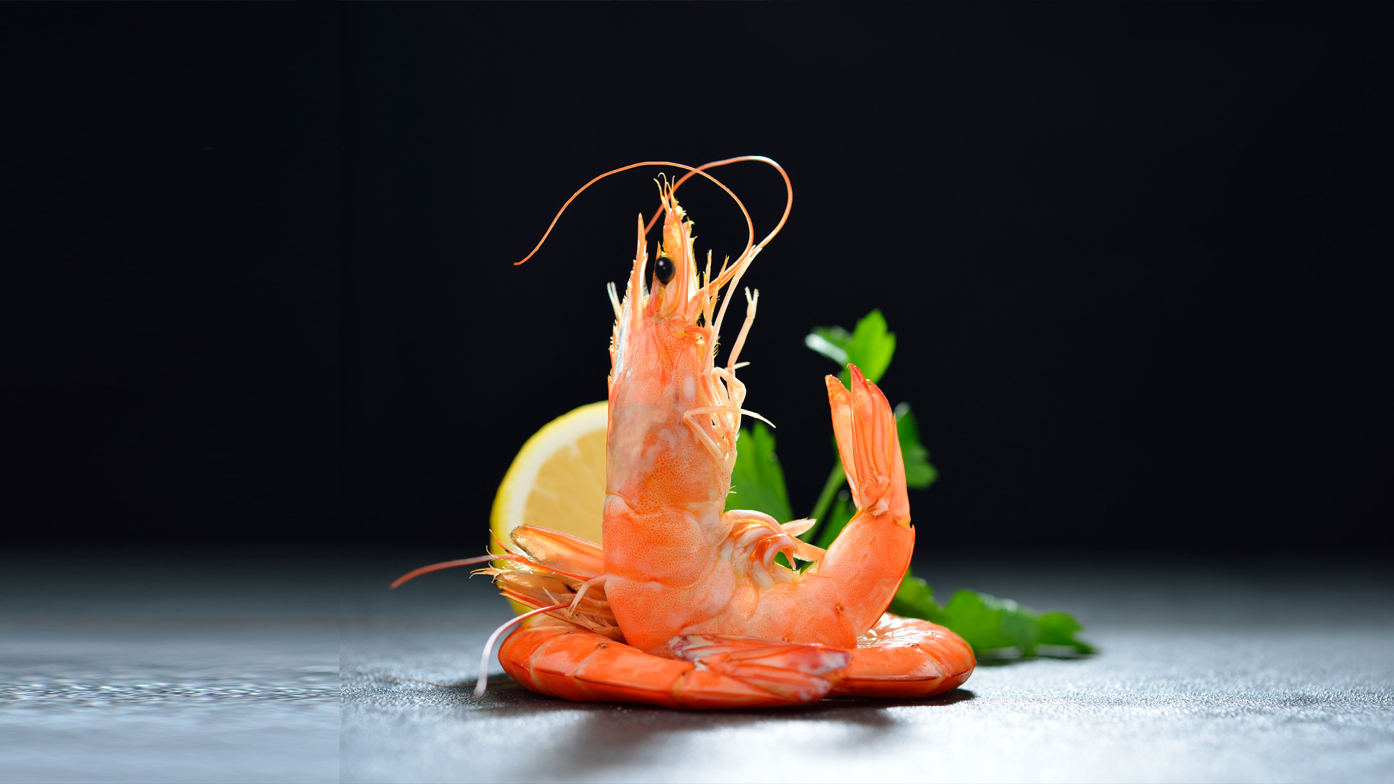 Mister Camaron Nayarit | Mariscos