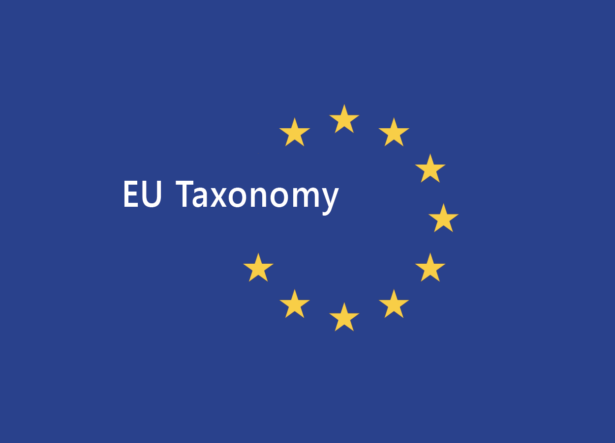 Understanding the EU Taxonomy