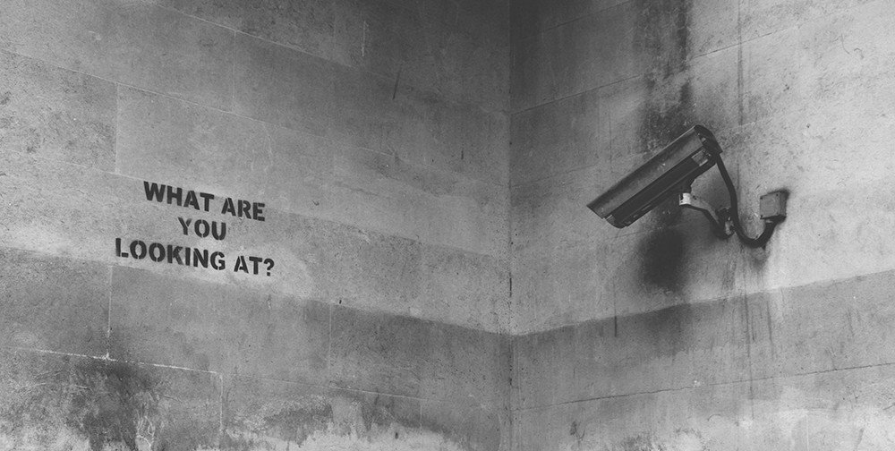 SEO for startups (not dummies)