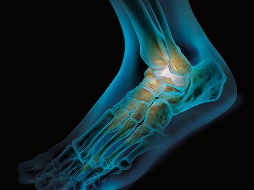 Medical Education - ArthroAcademy | Arthrex UK