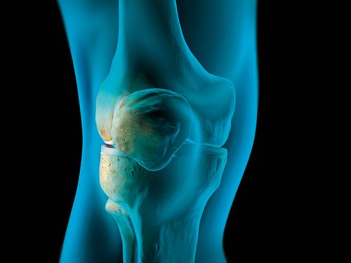 Medical Education - ArthroAcademy | Arthrex UK