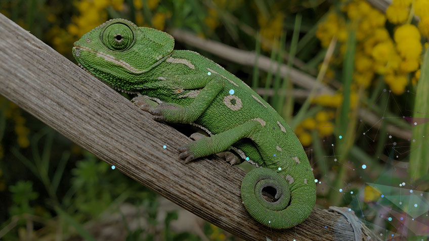 Move Your Personalization Toward The Light With AMPScript | Accelerize360