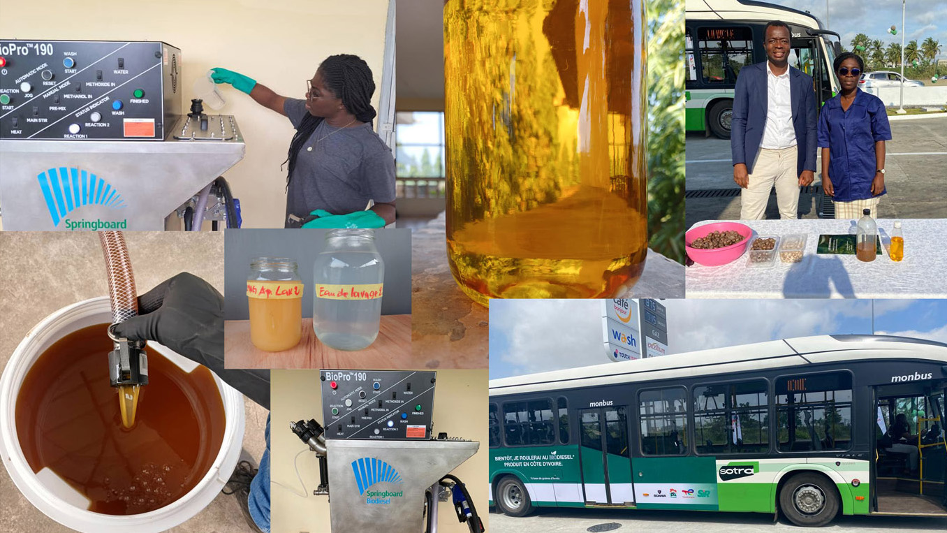 Ivory Coast research team converts rubber tree seed oil to biodiesel in ...