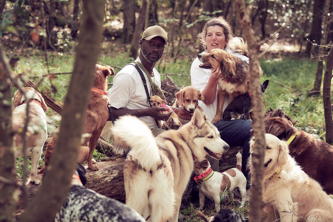 Alpha Dogs House : pension, promenades, concept store