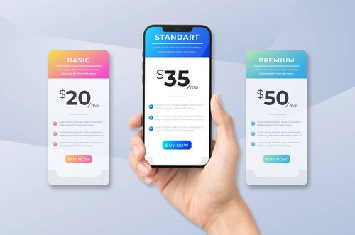 Step-by-Step Guide to Developing a Subscription-Based App | Axon