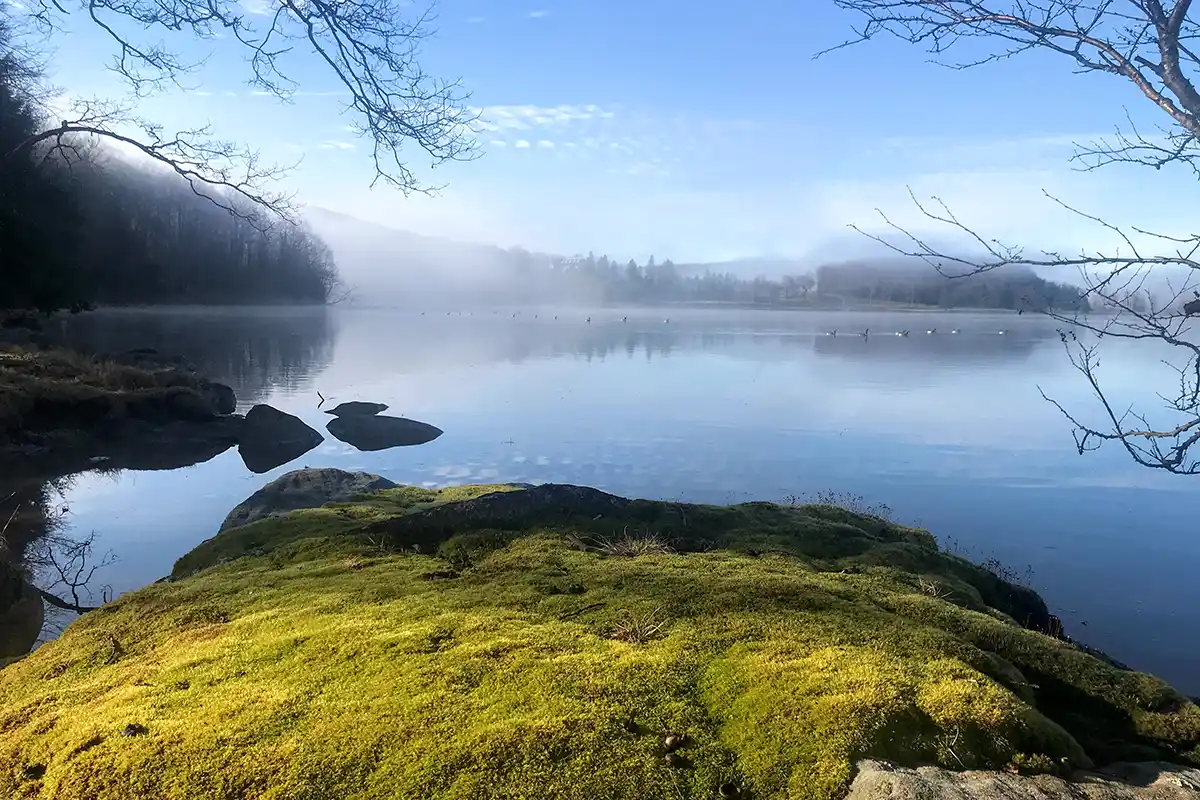 Camp Foretex - Alpine Lake Cabin: Mountain Resort w/ Lake Access