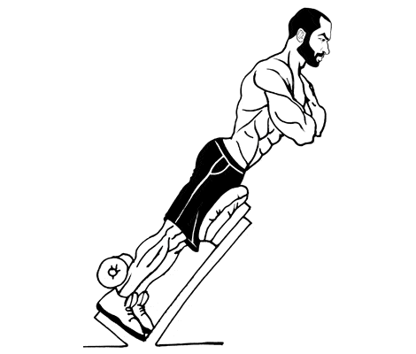 Top 3 Exercise for Strong Lower Back - Fitnesstipblog