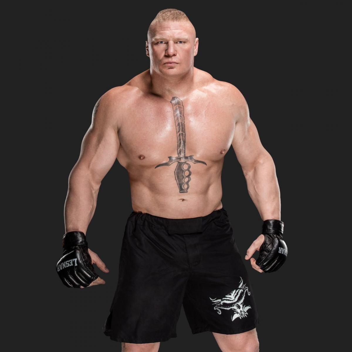 Brock Lesnar Workout Routine and Diet Plan