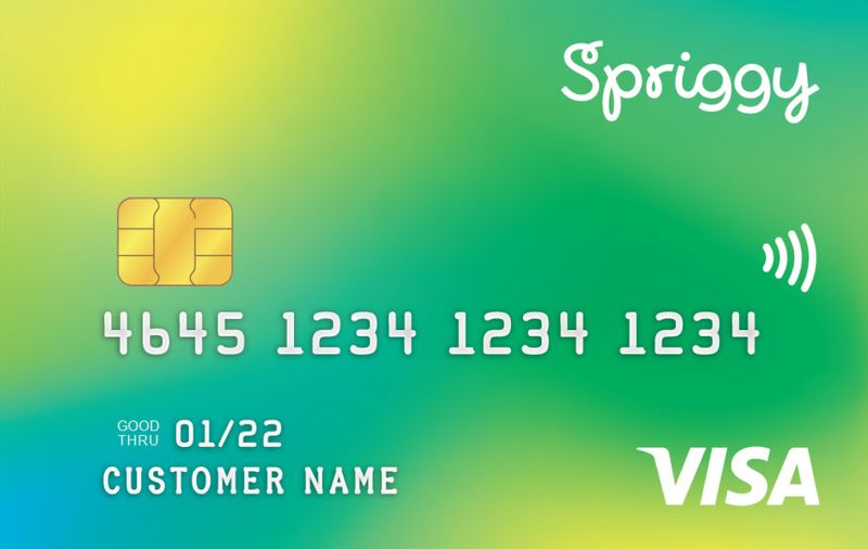 The Spriggy card