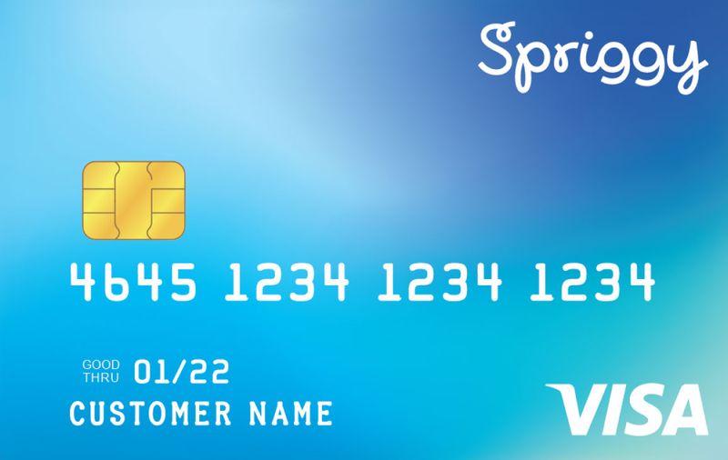 The Spriggy card