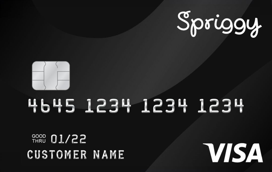 The Spriggy card