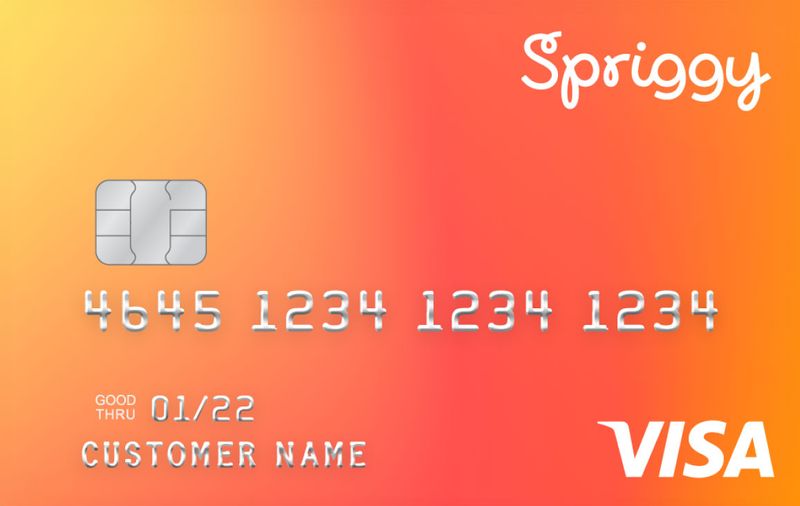 The Spriggy card