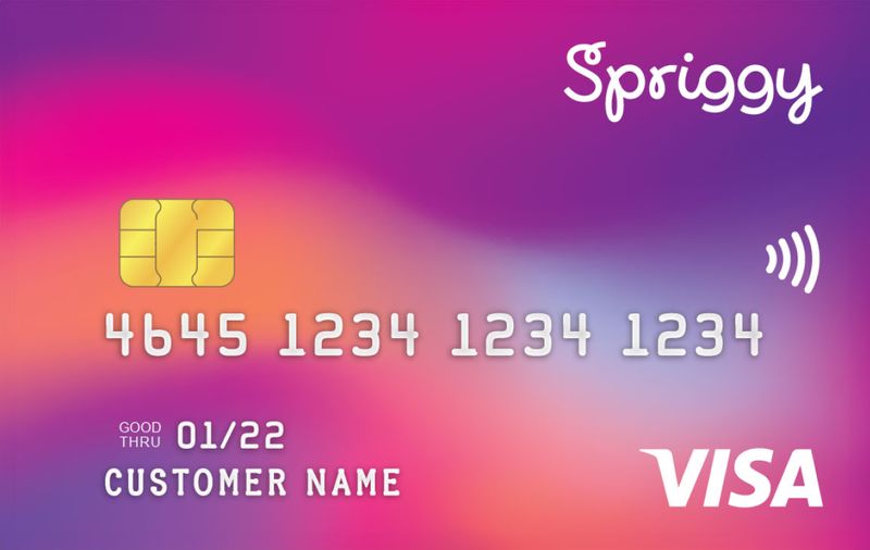 The Spriggy card