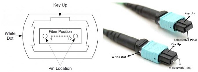 Decoding MTP/MPO Fiber Optic Polarity | FCM Fiber Insights